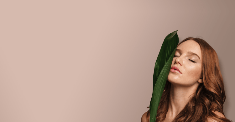 About Us – Audora.in